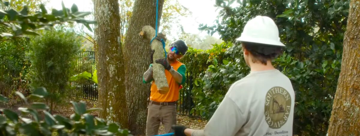 Tree Surgeon & Stump Services - Southern Earthworks Tree Services